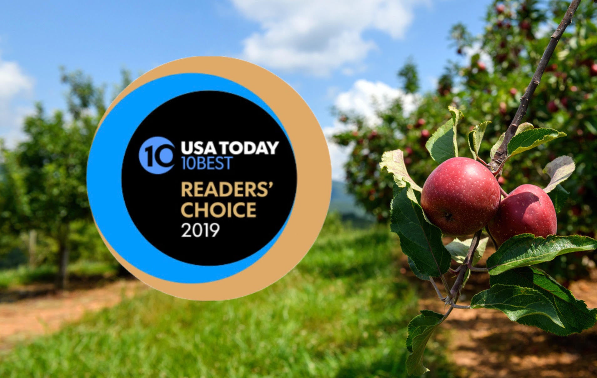 R & A Orchards – R and A Orchards