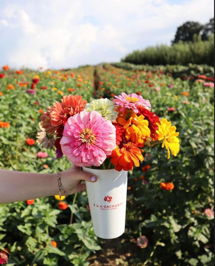 R & A Orchards – R and A Orchards